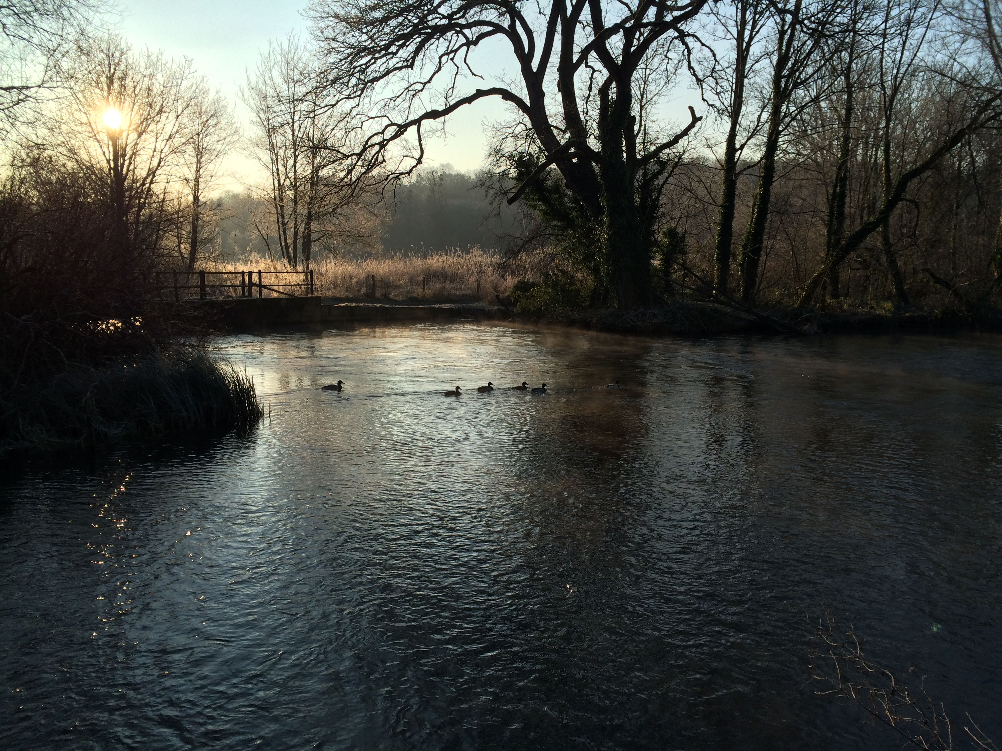 IMG_1092 | Itchen Valley Churches