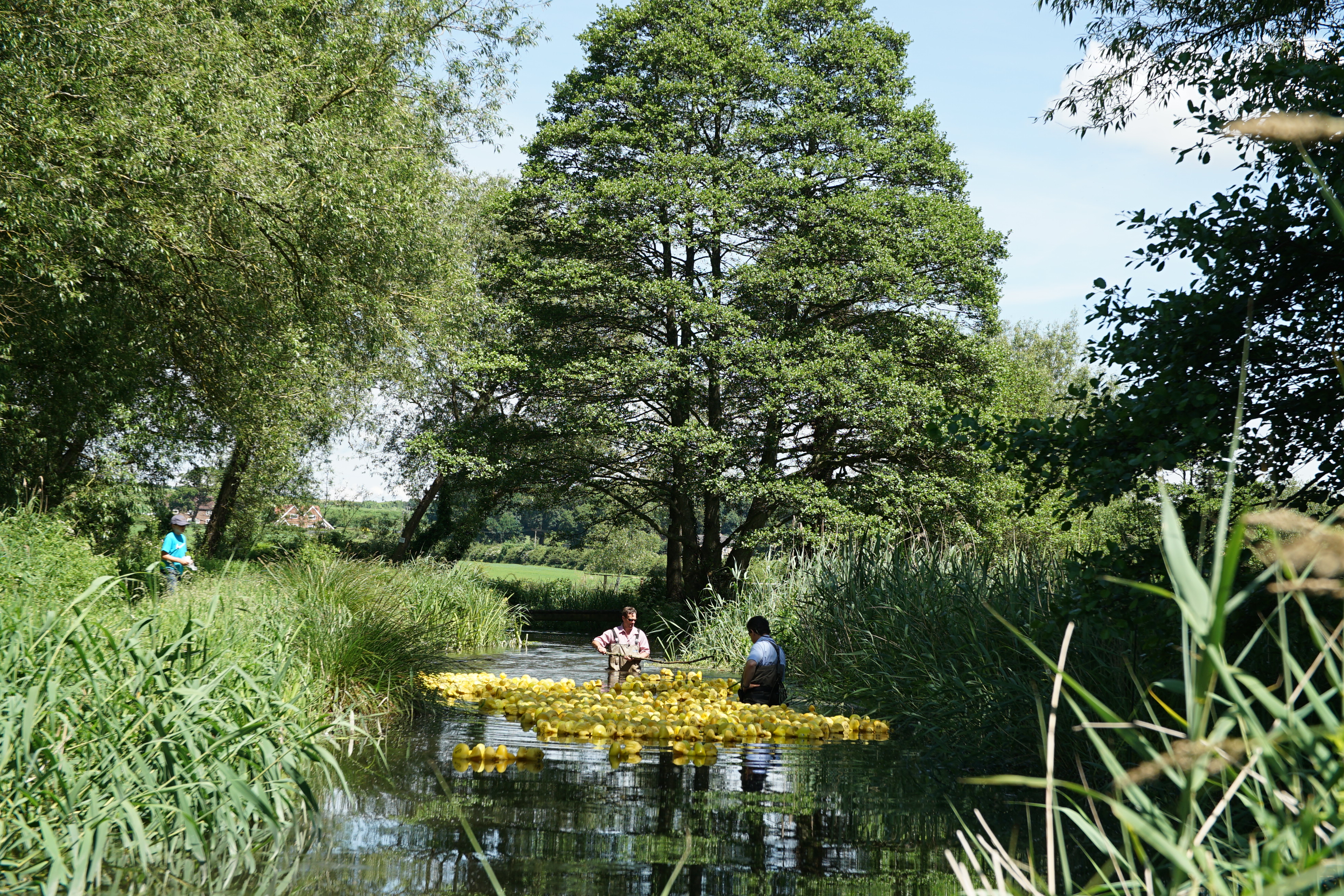 JG001208 | Itchen Valley Churches