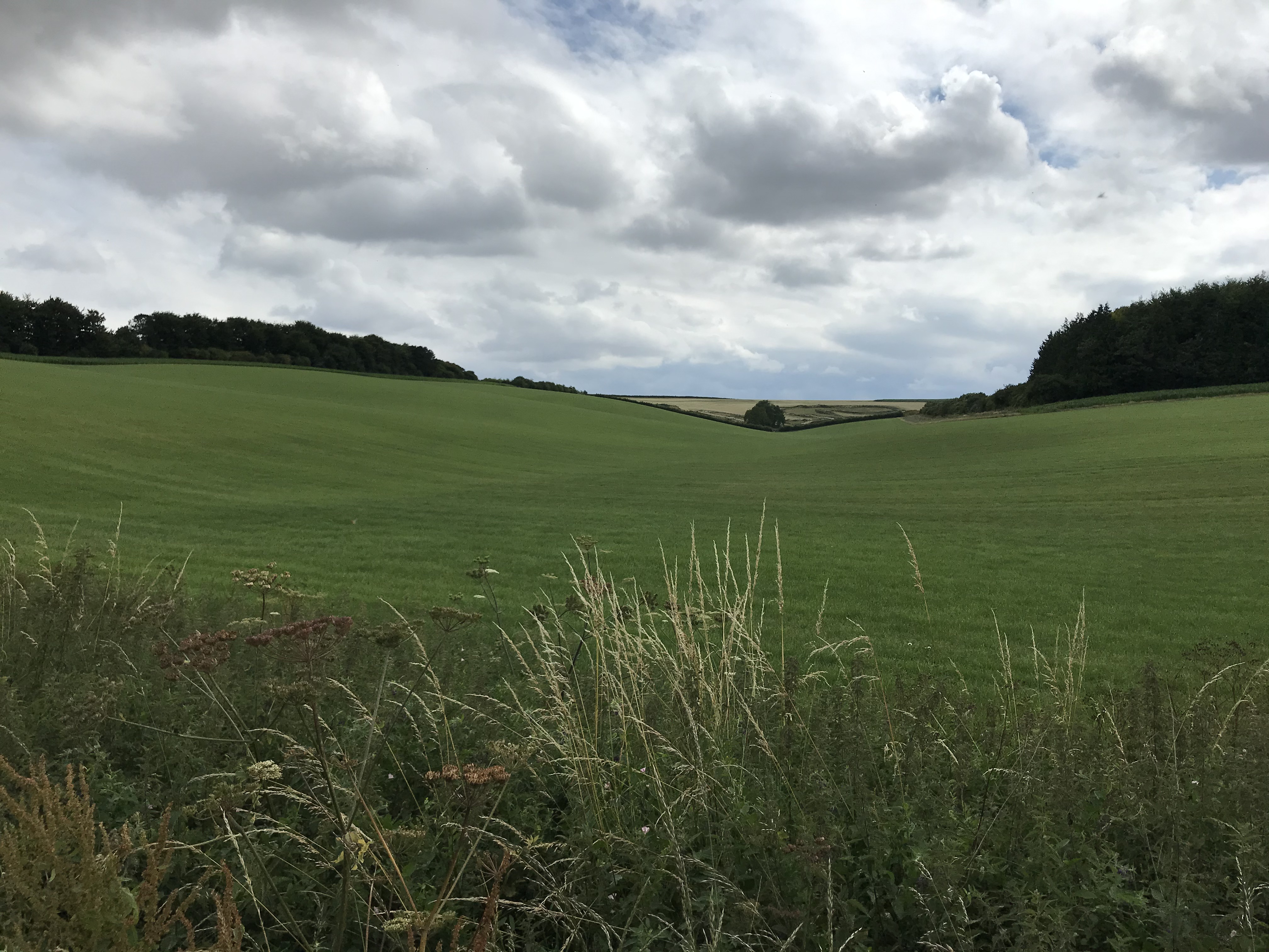IMG_0636 | Itchen Valley Churches
