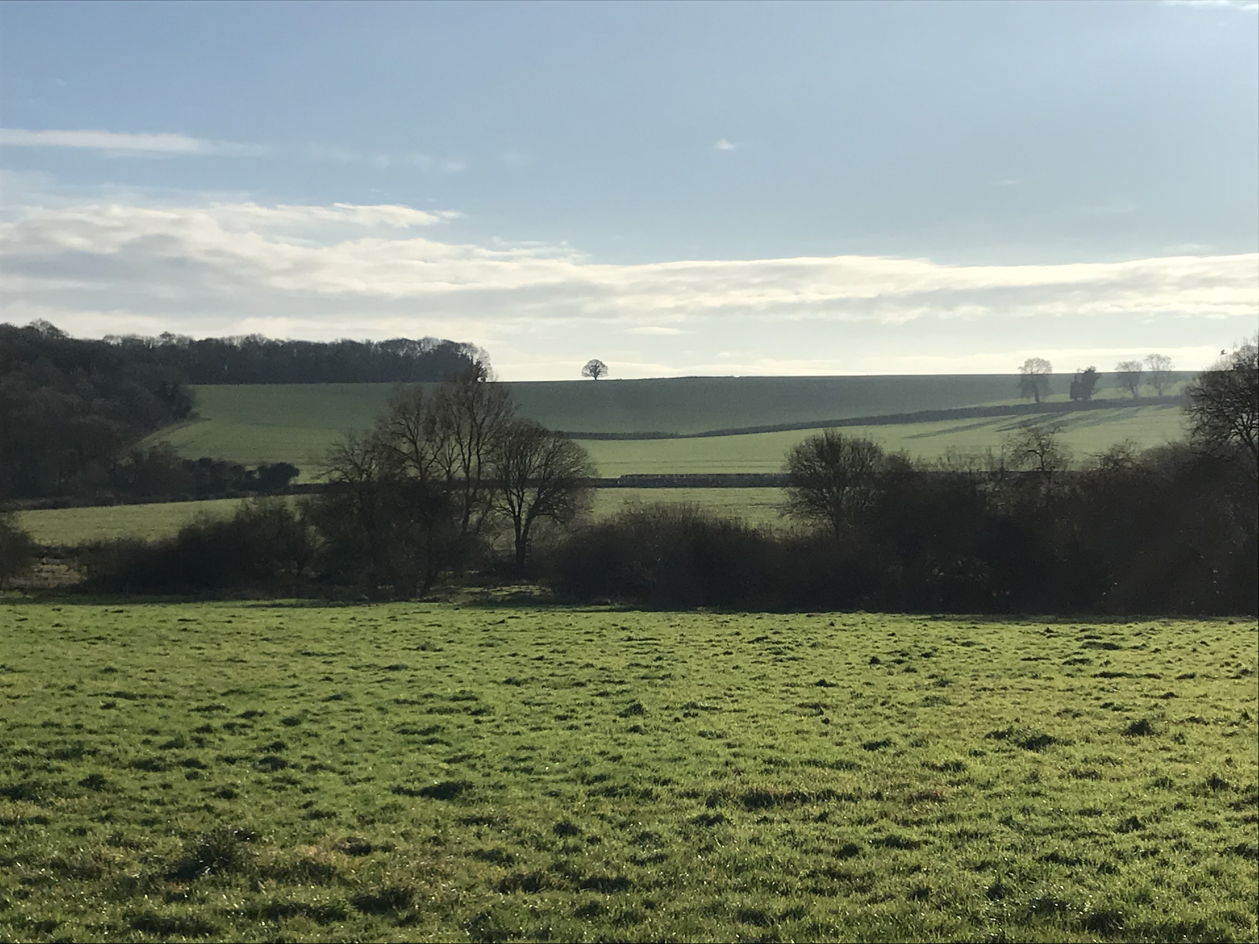 IMG_1152 | Itchen Valley Churches