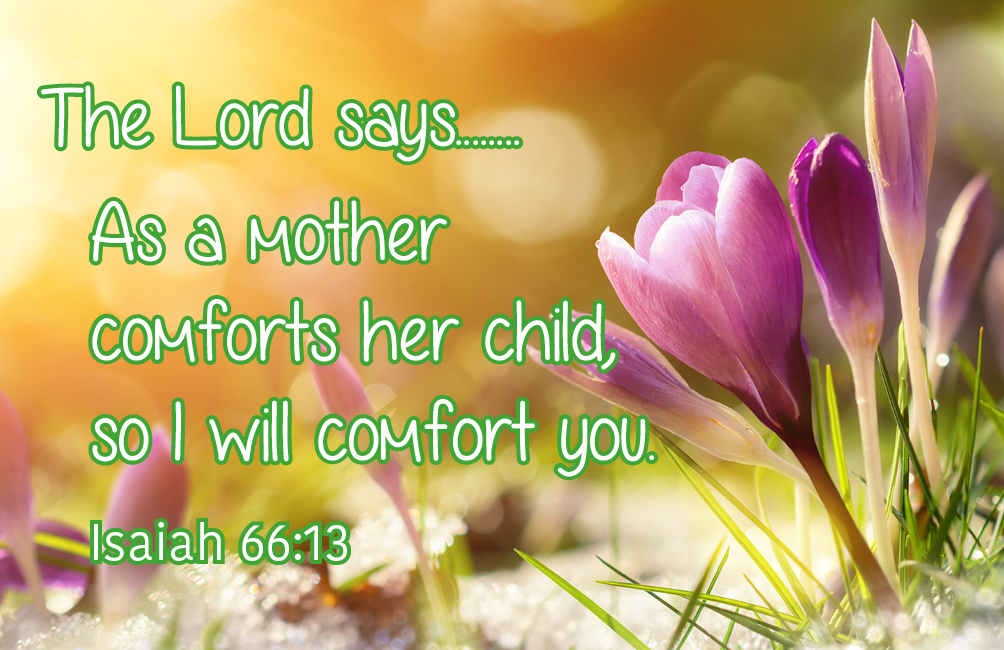 Mothering Sunday Flowers – Guided by God | Itchen Valley Churches